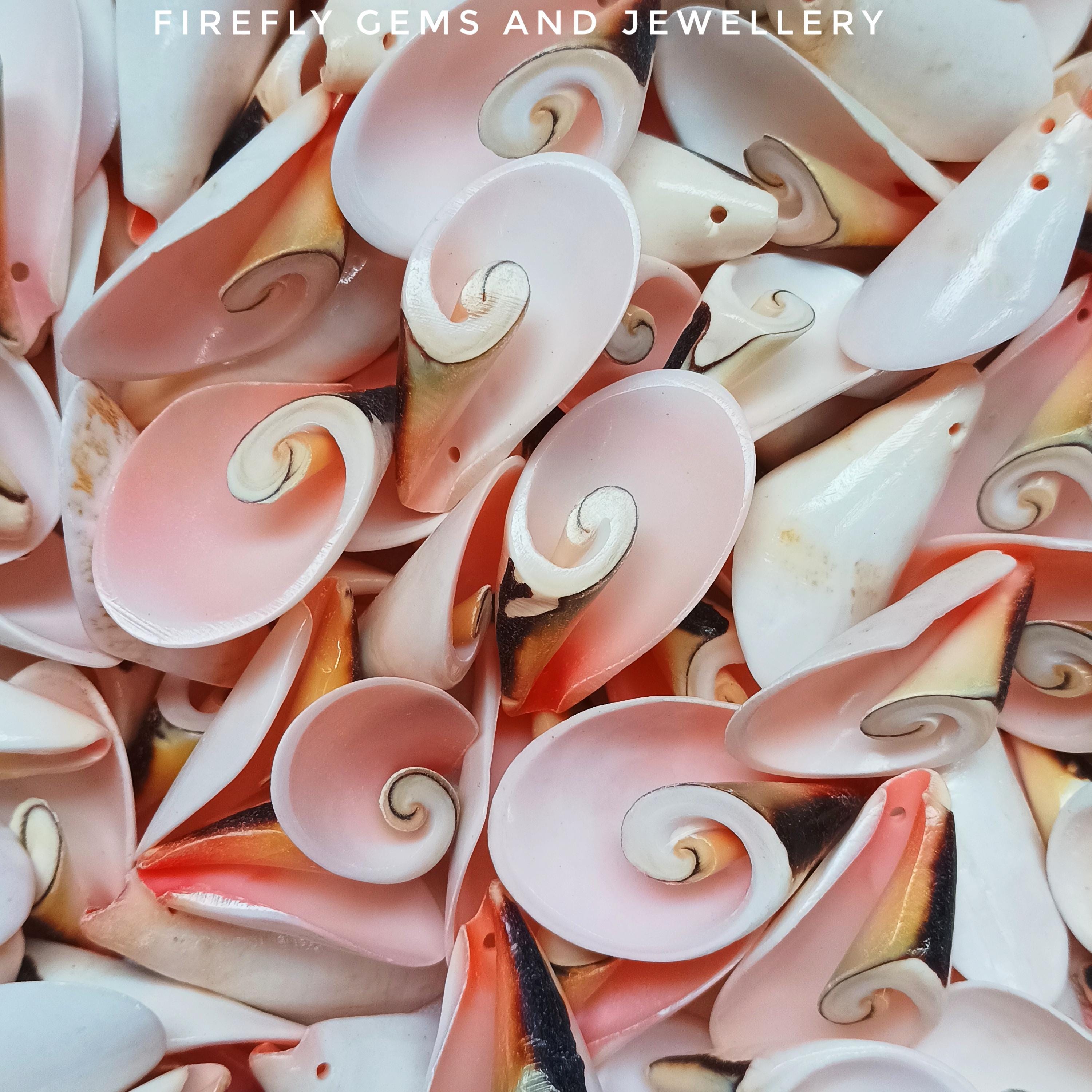 Drilled Strombus Lily Cut Seashells: Large Horn Shells for Jewelry ...