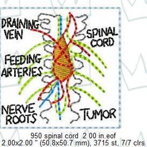 Spinal Cord 1 Sizes Feltie Machine Embroidery Design Feltie Designs ...