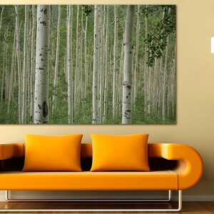 Birch Tree Canvas Woodland Decor Birch Tree Art Cosplay Print Birch ...