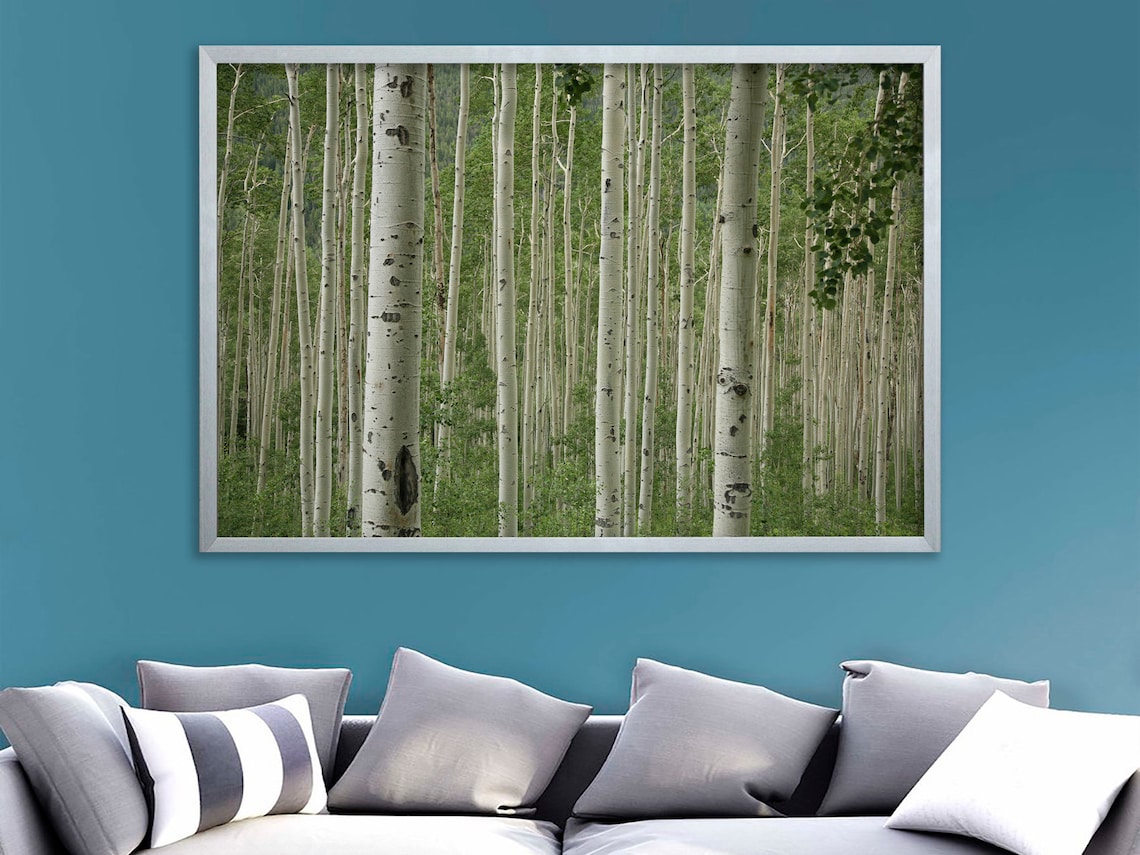 Birch Tree Canvas Woodland Decor Birch Tree Art Cosplay Print - Etsy