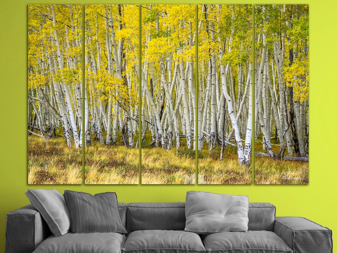 Birch Tree Canvas Woodland Decor Birch Forest Art Aspen Tree Art Birch ...