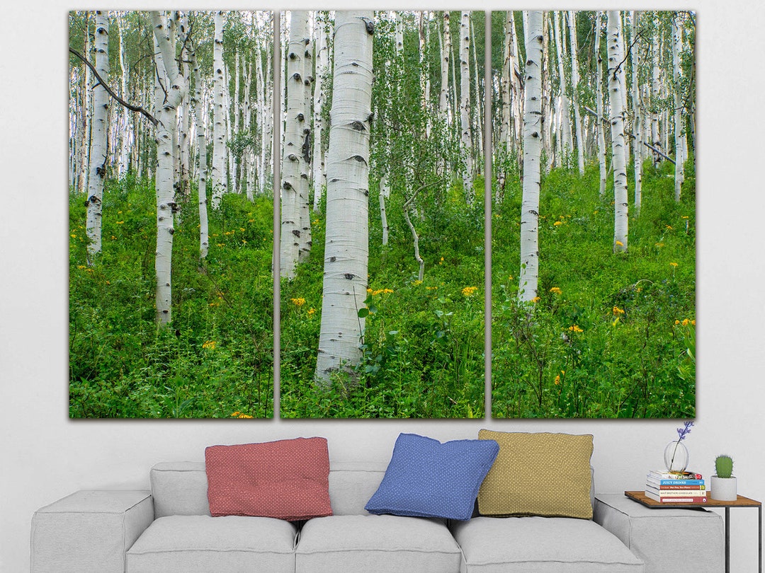 Birch Tree Canvas Woodland Decor Aspen Tree Art Birch Grove Print Birch ...