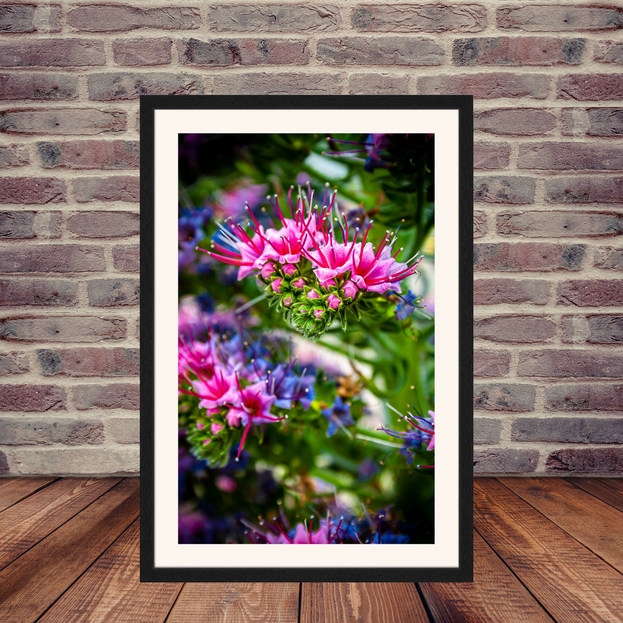 Flower Photography Prints Japanese Flowers 2 - Etsy UK
