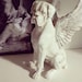 Boxer Dog 1 Memorial Angel With Wings Rainbow Bridge - Etsy Canada