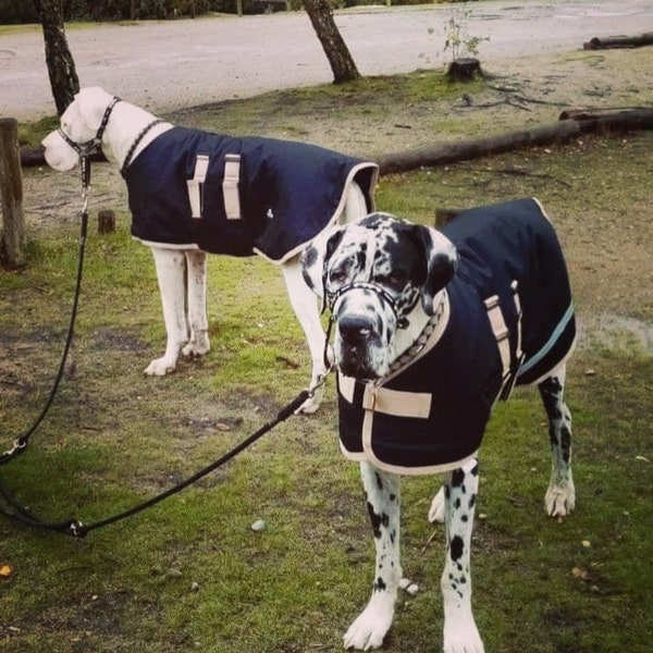 Great Dane Coat - Etsy