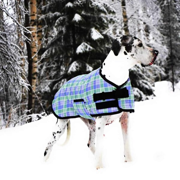 Great Dane Coat - Etsy