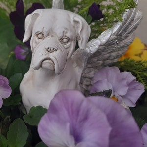 Boxer Dog 1 Memorial Angel With Wings Rainbow Bridge - Etsy Canada