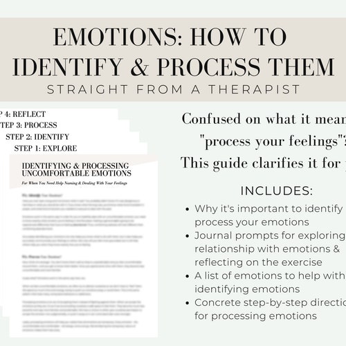 Therapy Notes Printable Therapy Overview and Notes Insert | Etsy