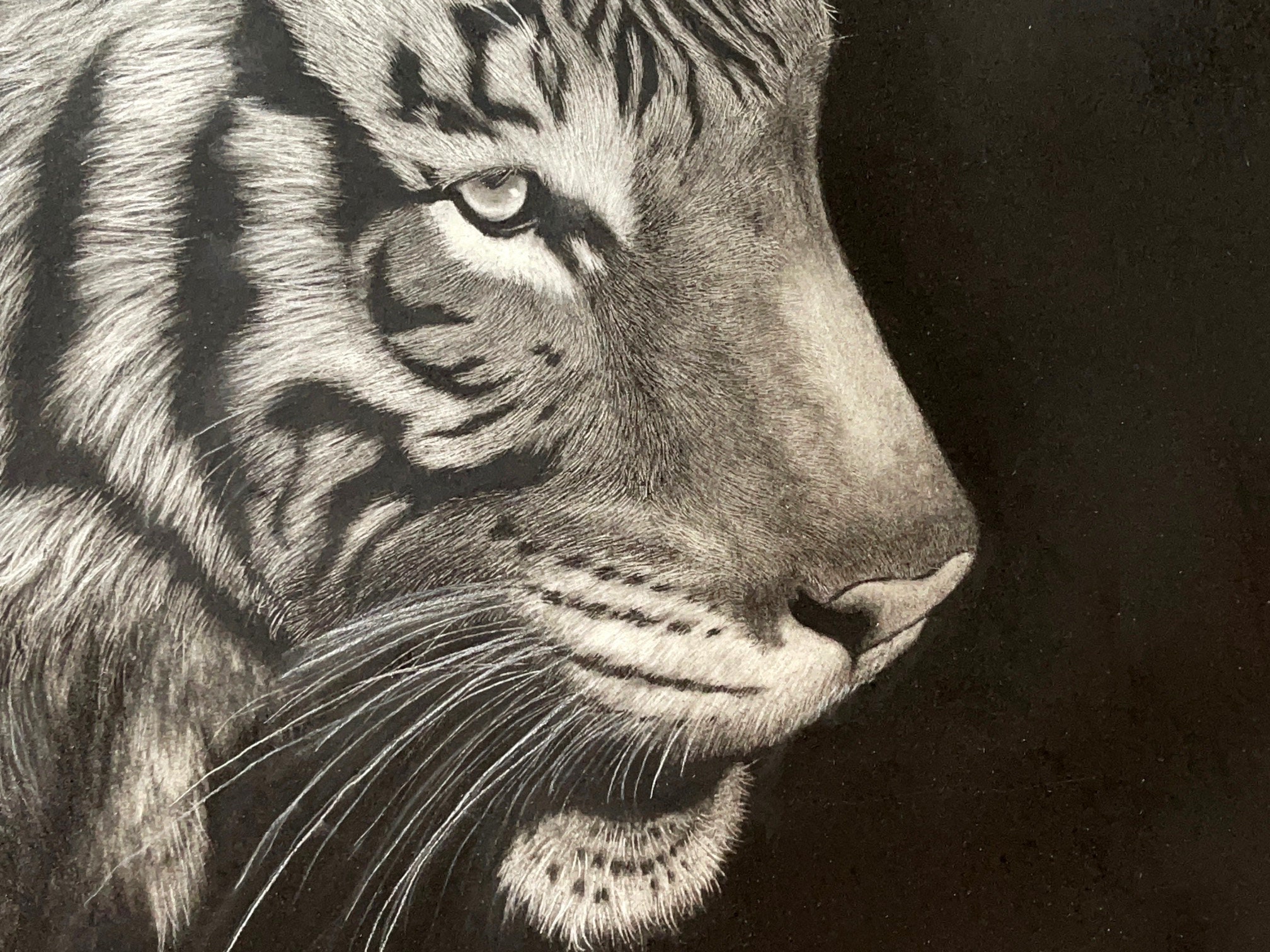 Tiger Charcoal Drawing Tiger Portrait Hand Drawn Tiger Tiger Art ...