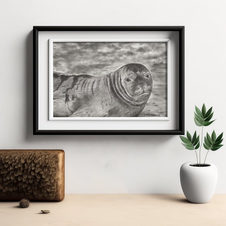 Hawaiian Monk Seal Portrait Animal Art Home Decor Illustration Sea Art ...