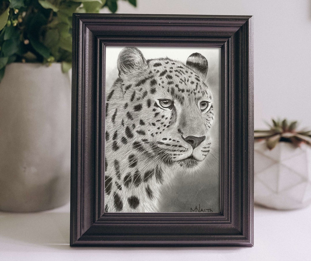 Original Leopard Graphite Sketch - Hand-drawn Animal Art (5x7) - Etsy