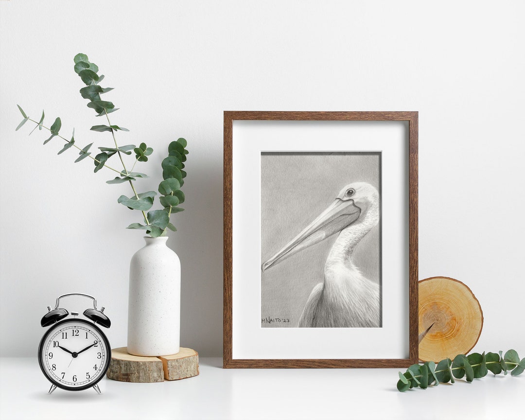 Original Pelican Sketch – Hand-drawn Graphite Coastal Art (5x7) - Etsy