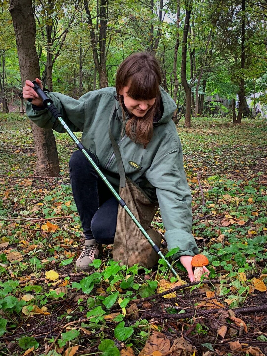 Gift for Mushroom Forager. Walking Stick With Compass for Picking Morels. 4 Folding Sections ...