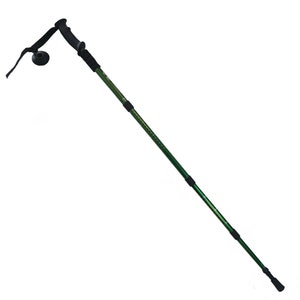 Gift for Mushroom Forager. Walking Stick With Compass for Picking ...