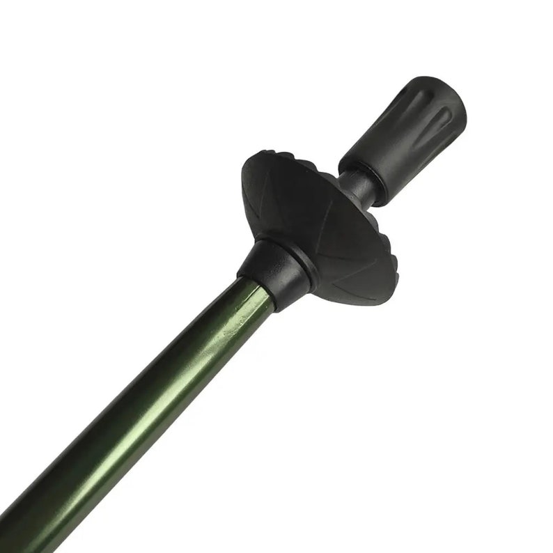 Gift for Mushroom Forager. Walking Stick With Compass for - Etsy