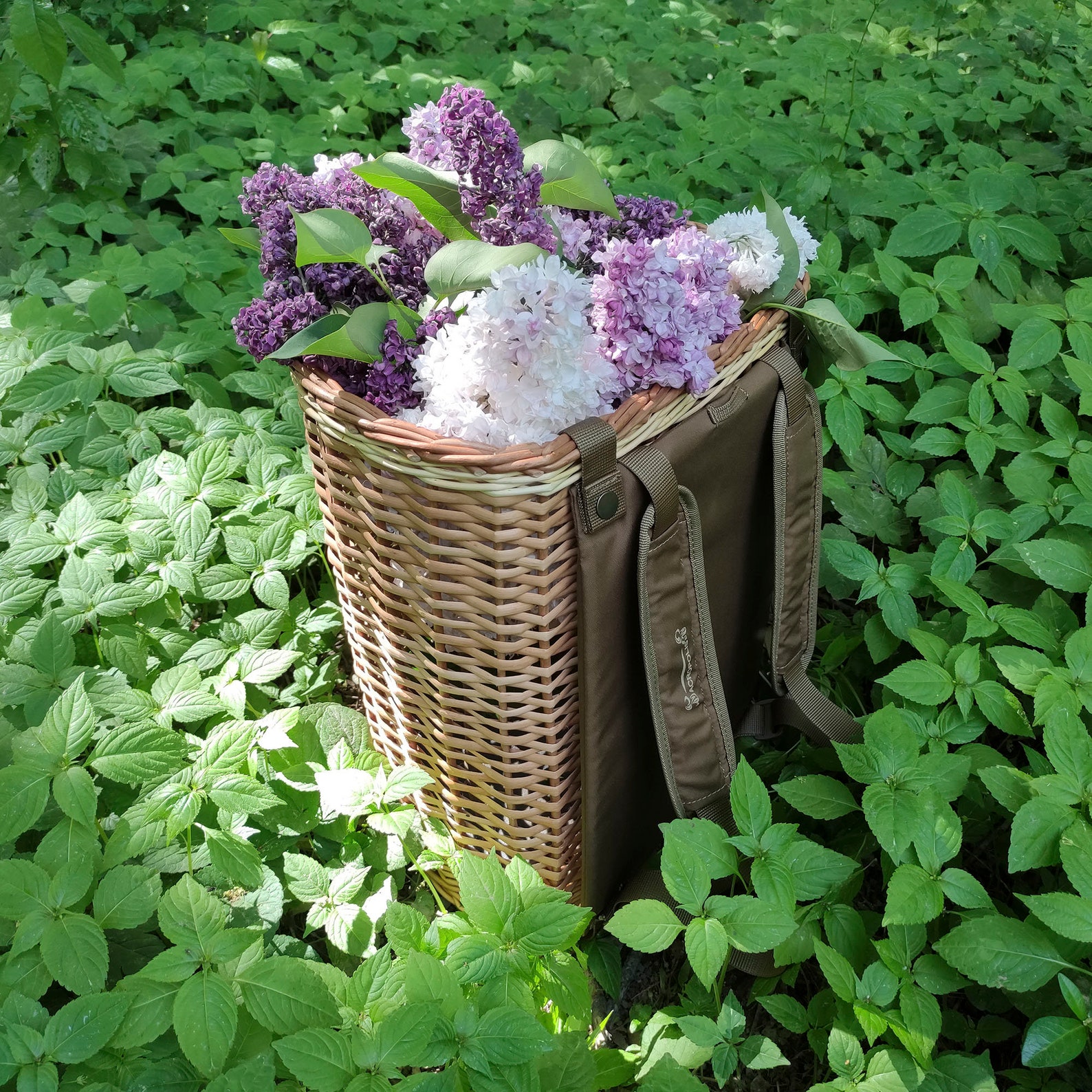 Foraging Basket Rucksack Backpack for Mushroom Picking - Etsy