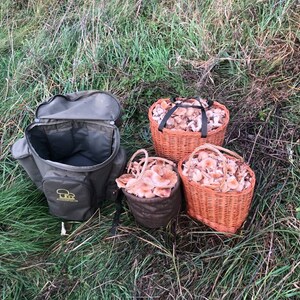 Mushroom Picking Rucksack. Backpack for Mushroom Hunters With 3 Wicker ...