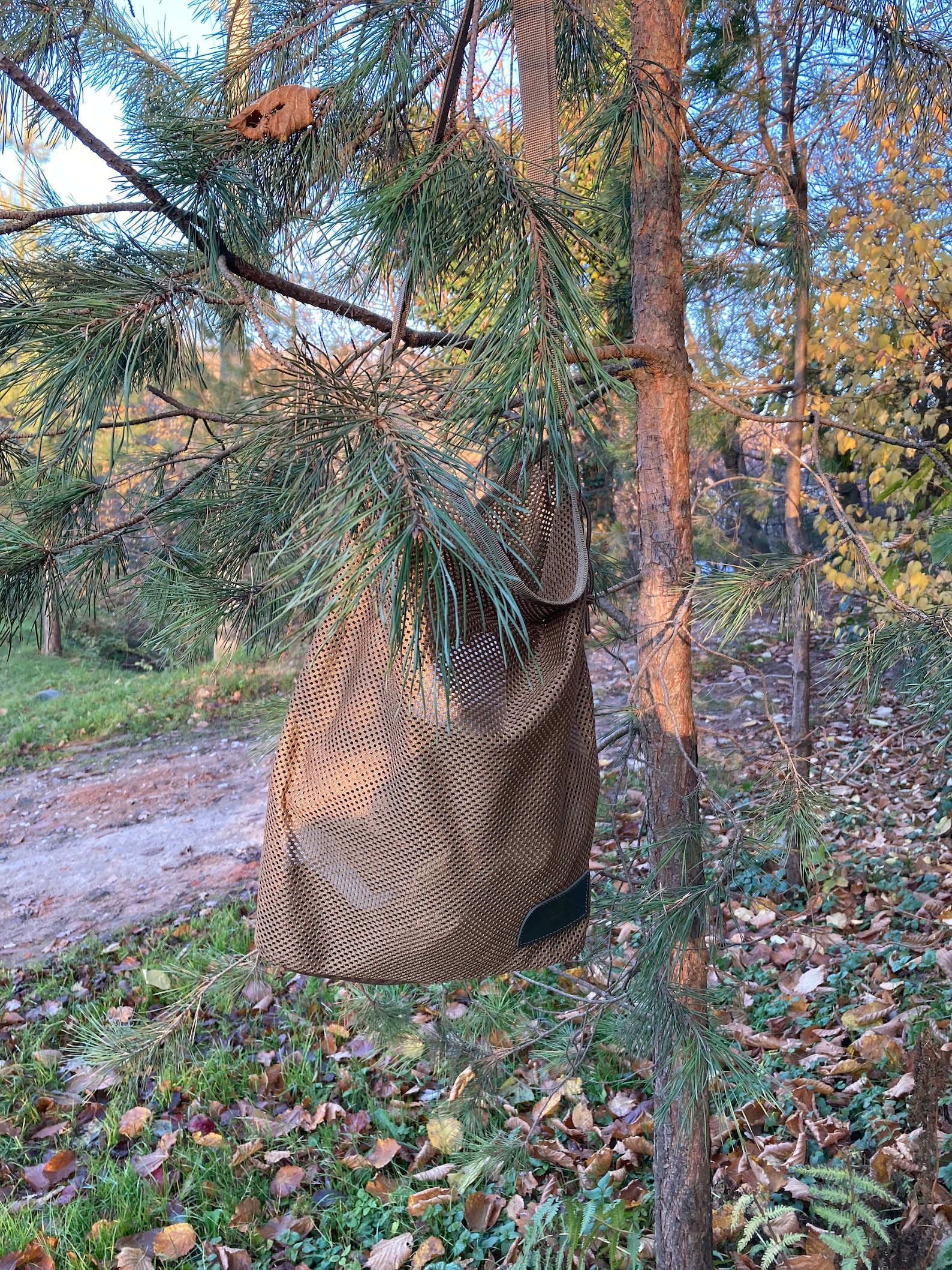 Mushroom Hunting, Forage Bag, for Morels Picking, for Gathering Fruits ...