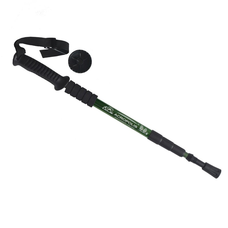 Gift for Mushroom Forager. Walking Stick With Compass for - Etsy