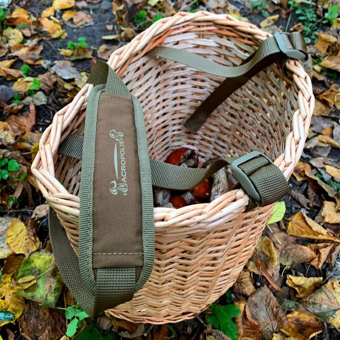 Forage Basket for Mushroom Picking, Morels Hunting. Small Wicker Basket ...