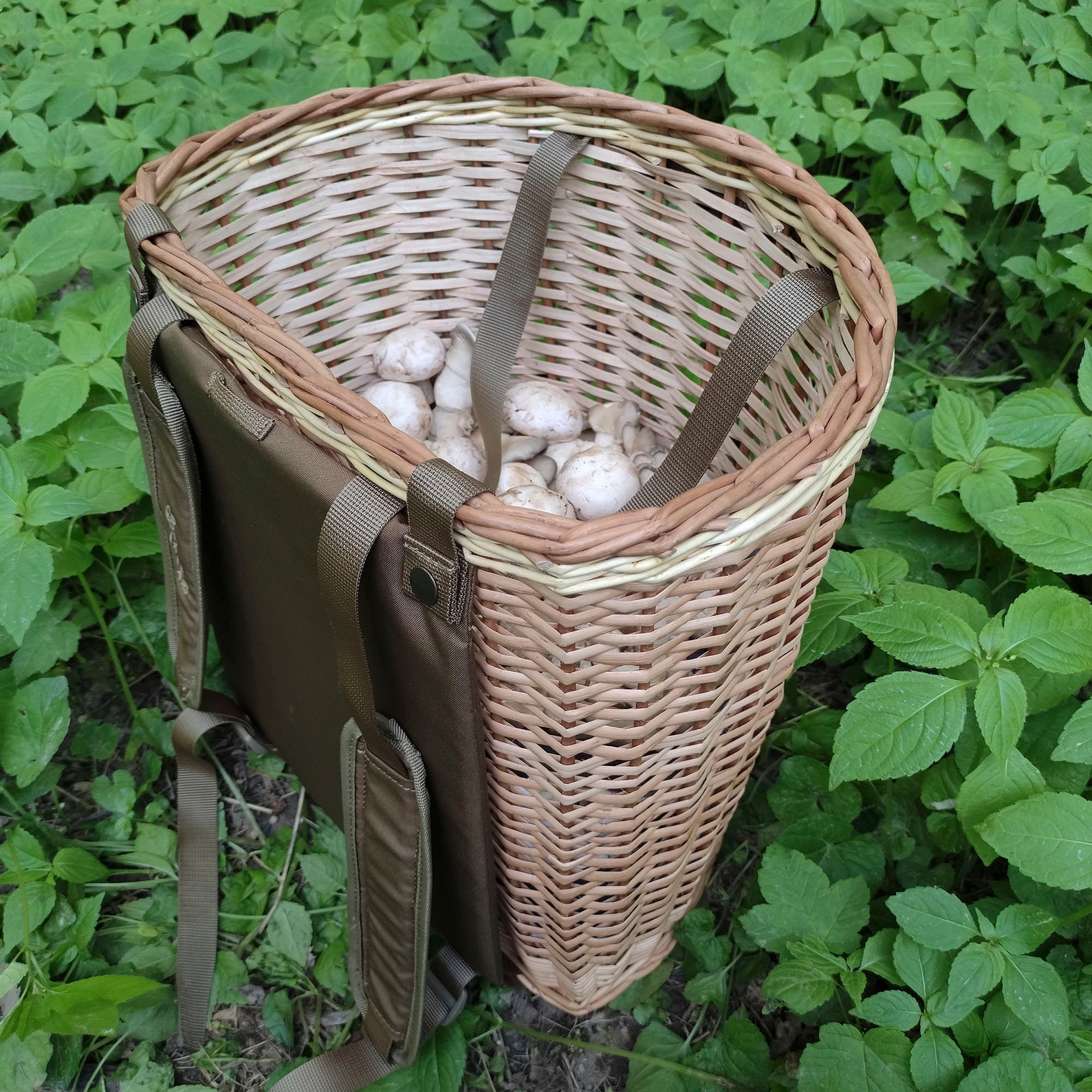 Foraging Basket Rucksack Backpack for Mushroom Picking - Etsy