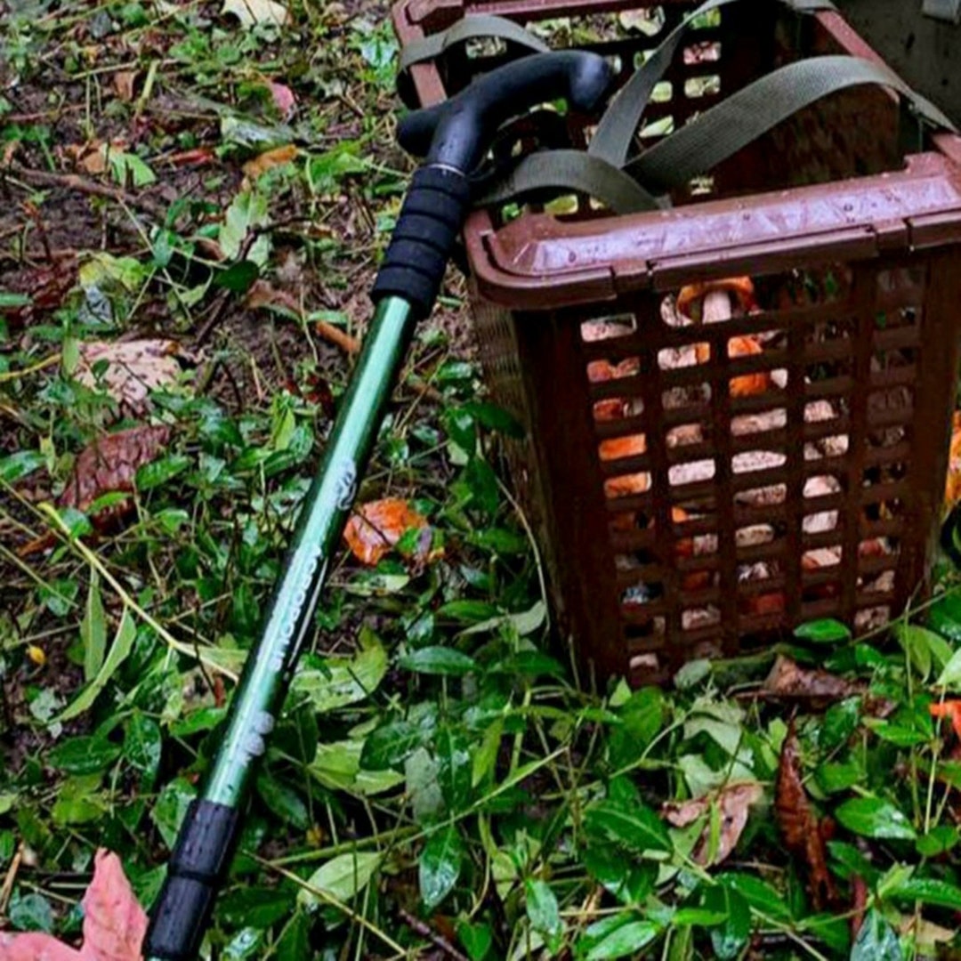 Mushroom Picker Walking Stick With T-shaped Handle. Gift for Adult ...