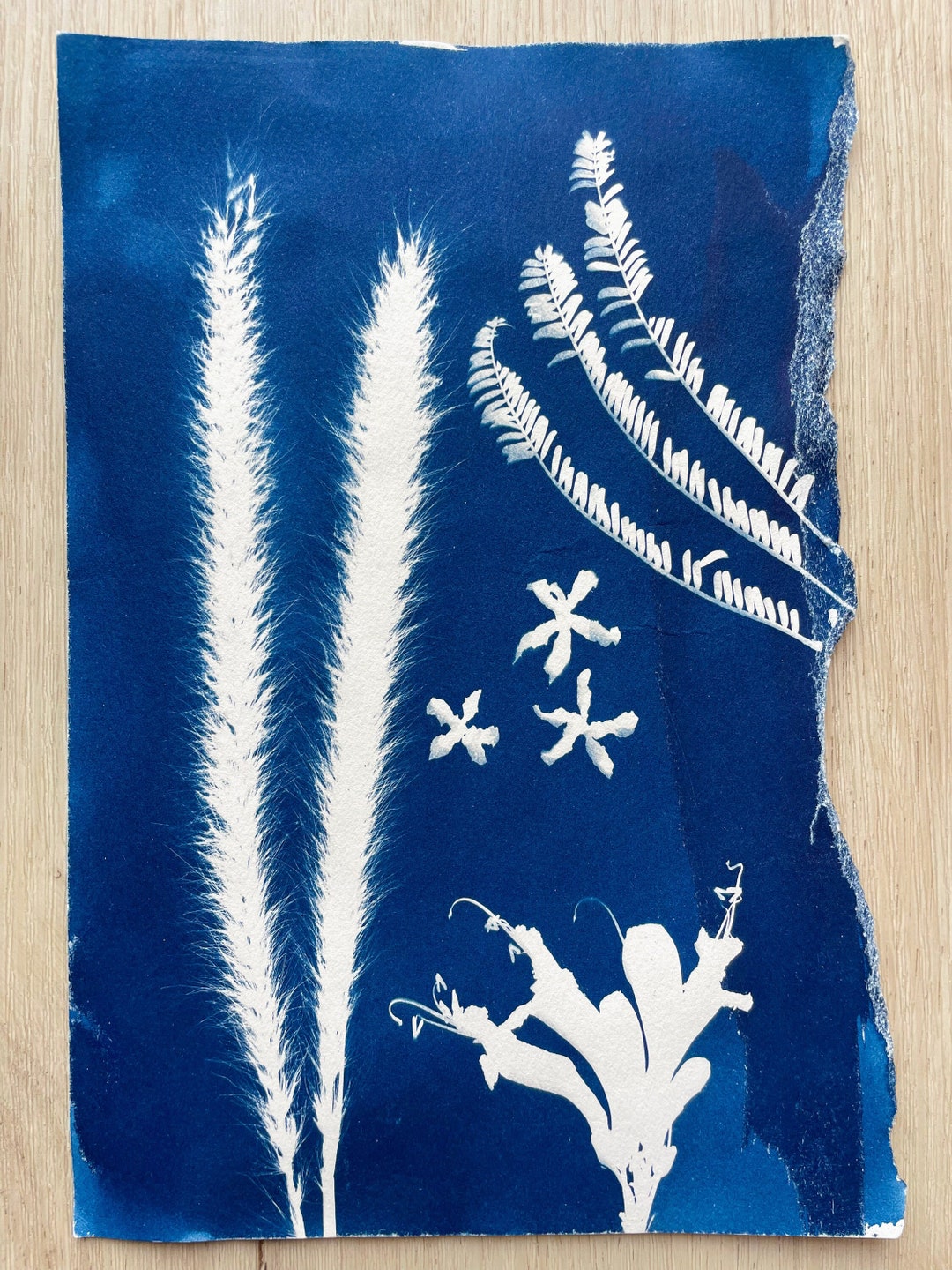 Pressed Flowers Cyanotype, Nature Art, Sun Print, Blue Print, Handmade ...