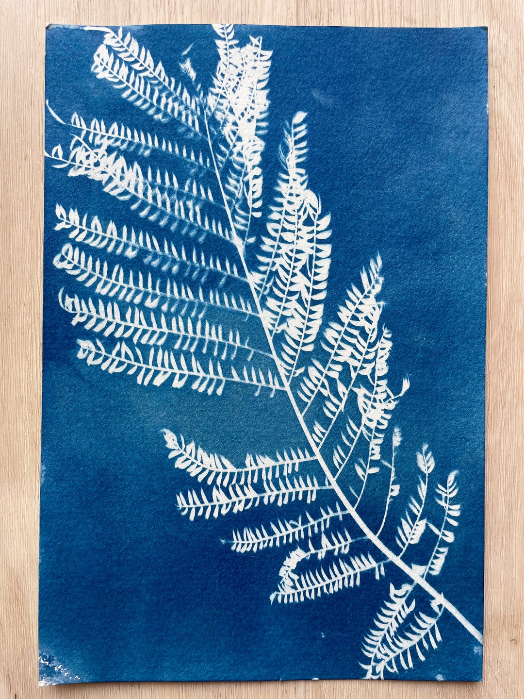Tree Branch Cyanotype, Sun Print, Blue Print, Handmade Art Print, Small ...
