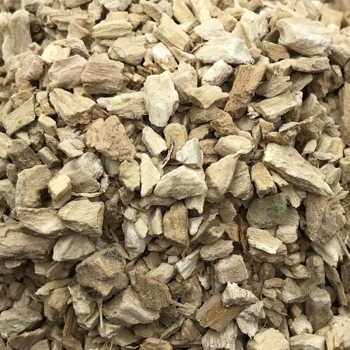 Rat Root Weekas Sweetflag Muskrat Root Acorus Calamus - Etsy