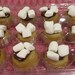 Smores Mini Donut Rings Gluten Free Chocolate Glazed - Etsy