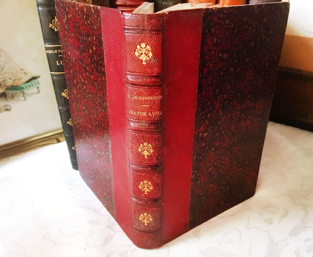 Antique French Library Book 1887, Vintage French Novel Book With ...