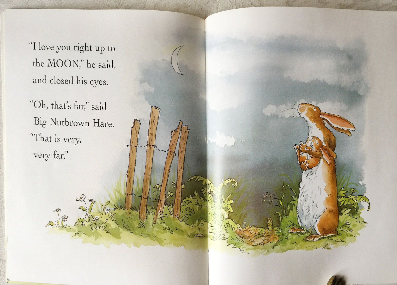 Vintage children's book rabbit's story with | Etsy