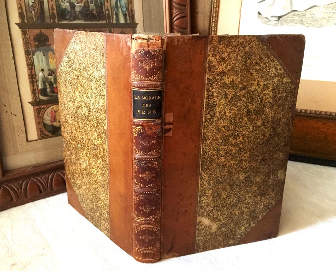 1882 Rare Antique French Library Book, Leather Bound Literature Book ...