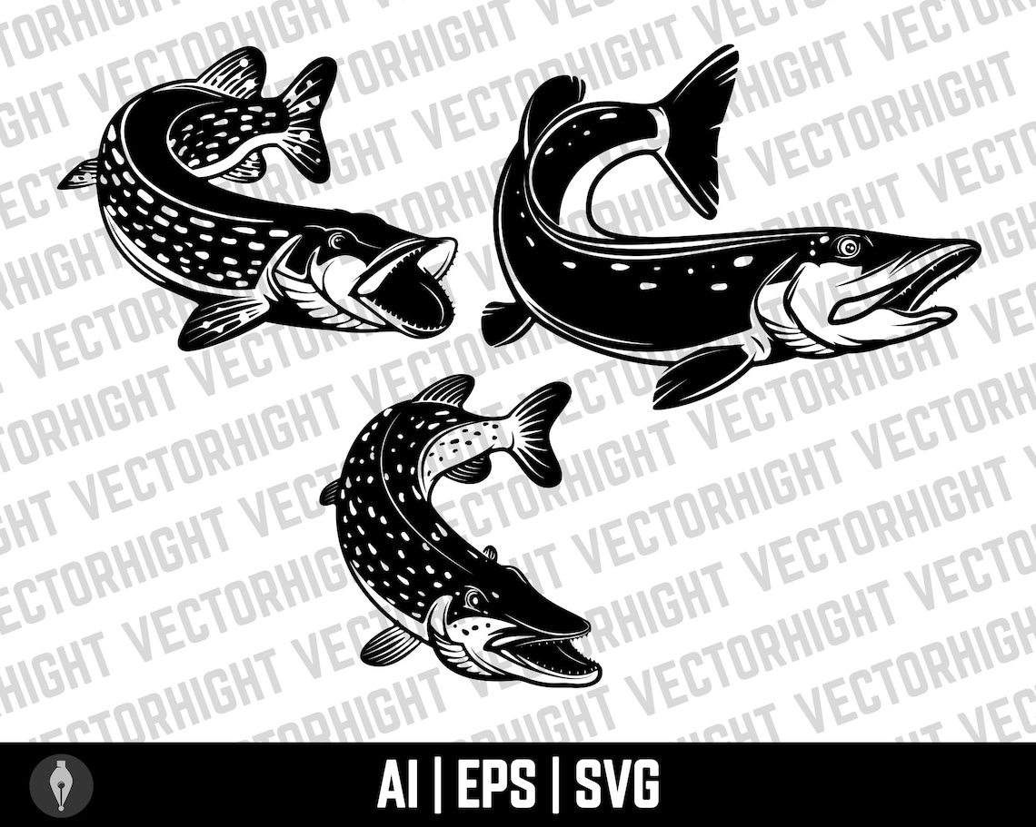 Set OF Pike Fish Illustrations Vector. Pike Fishing EPS Ai - Etsy
