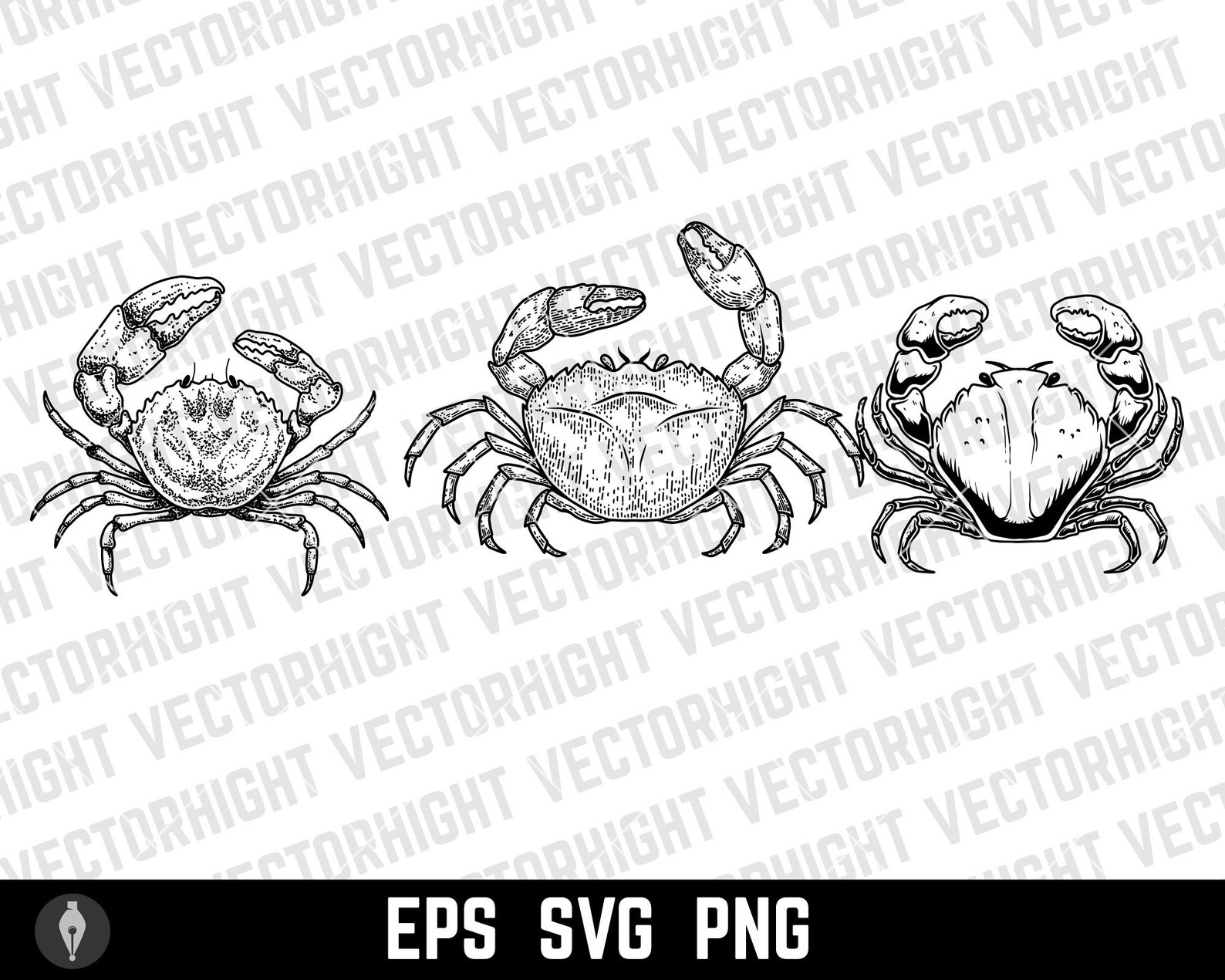 Crab Bundle Svg, Sea Crab Silhouette Png, Crab Clipart, Crab Cricut Cut ...