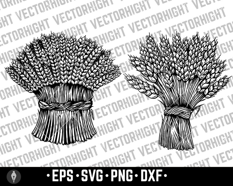 Sheaf of Wheat Vector Spikelet of Wheat EPS SVG Wheat - Etsy