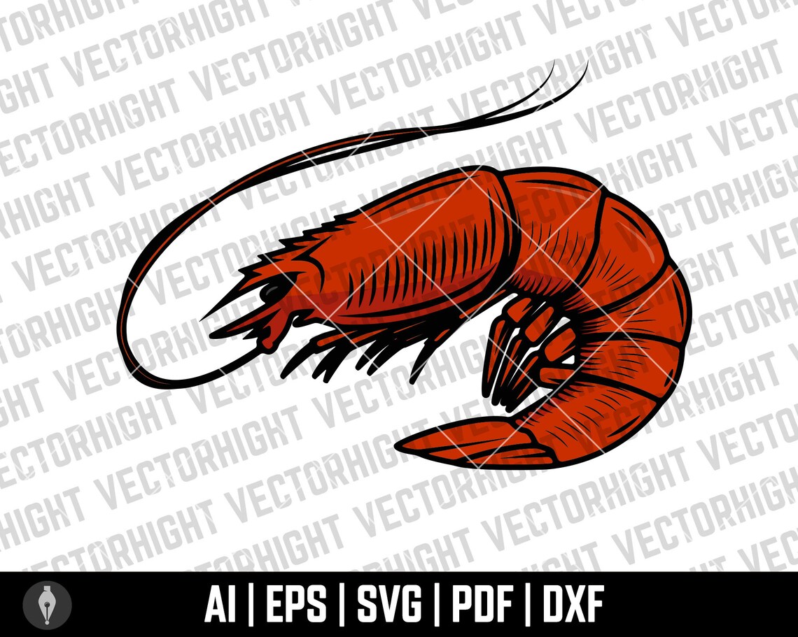 Shrimp Illustration Shrimp Svg Eps Ai Dxf Pdf. Shrimp | Etsy