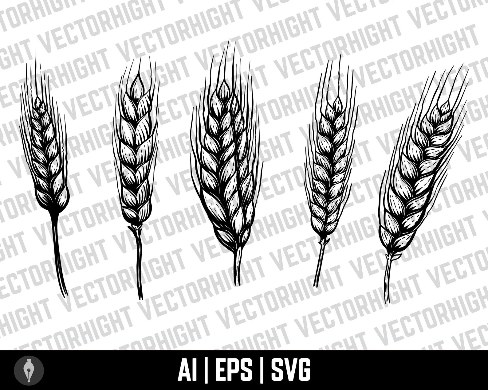 Sheaf of Wheat Vector, Spikelet of Wheat EPS, AI, SVG, Wheat Vector ...