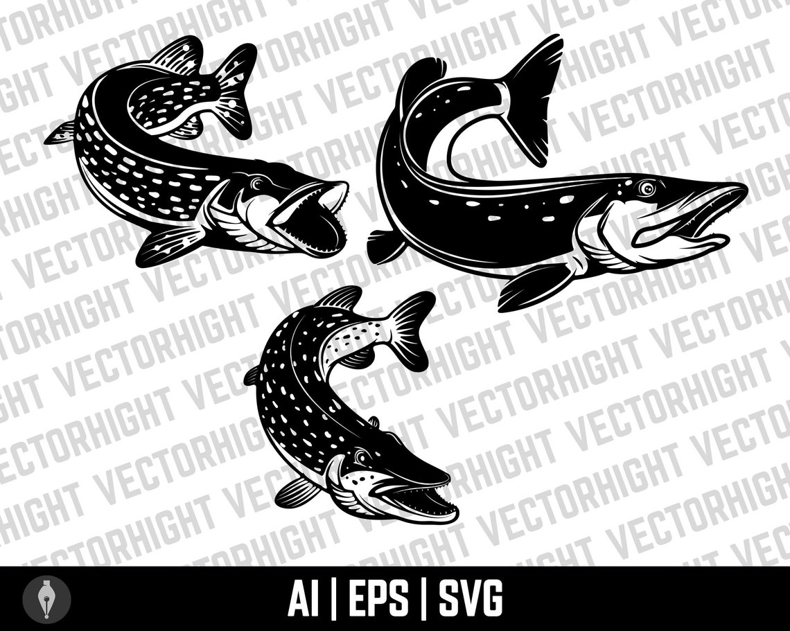 Set OF Pike Fish Illustrations Vector. Pike Fishing EPS Ai | Etsy