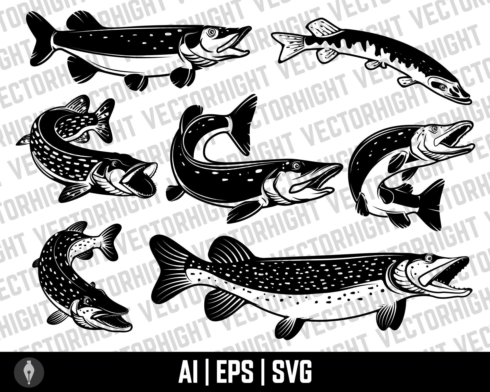 Set OF Pike Fish Illustrations Vector. Pike Fishing EPS, Ai, SVG. Pike ...