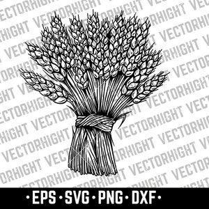 Sheaf of Wheat Vector, Spikelet of Wheat EPS, SVG, Wheat Vector Clipart ...