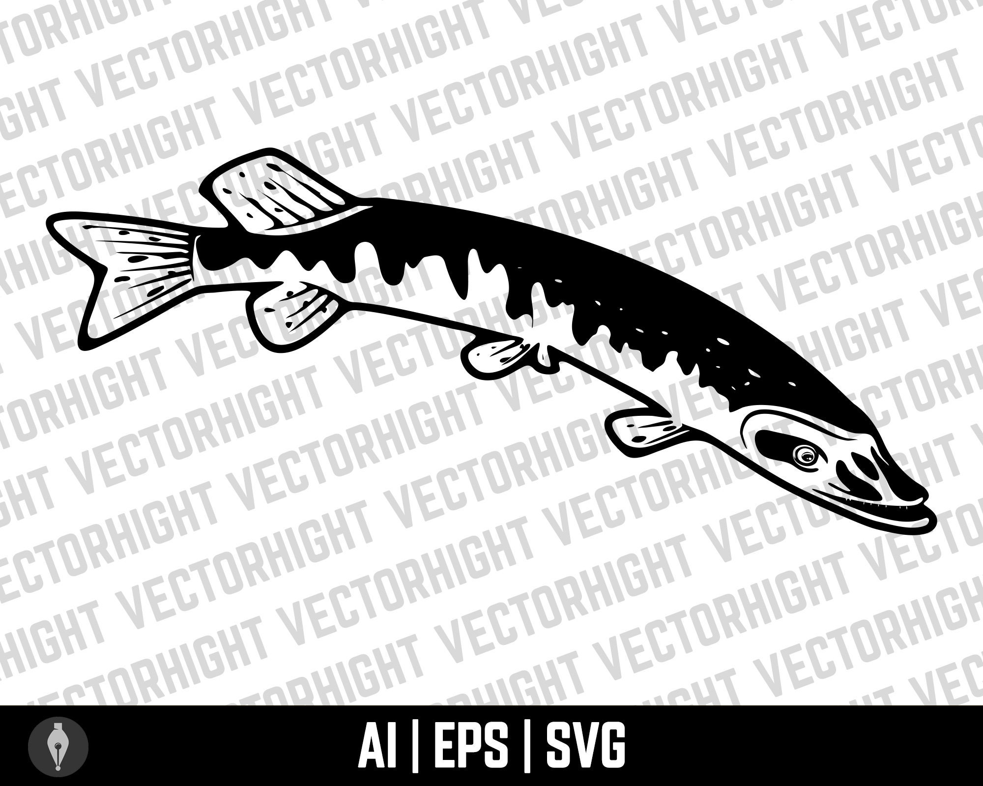 Set OF Pike Fish Illustrations Vector. Pike Fishing EPS, Ai, SVG. Pike ...