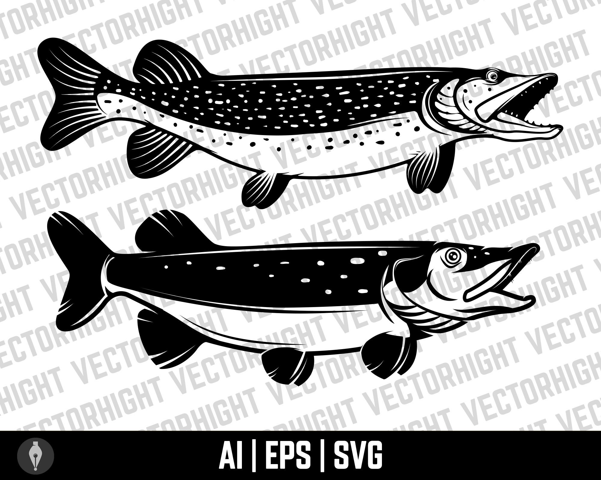 Set OF Pike Fish Illustrations Vector. Pike Fishing EPS, Ai, SVG. Pike ...