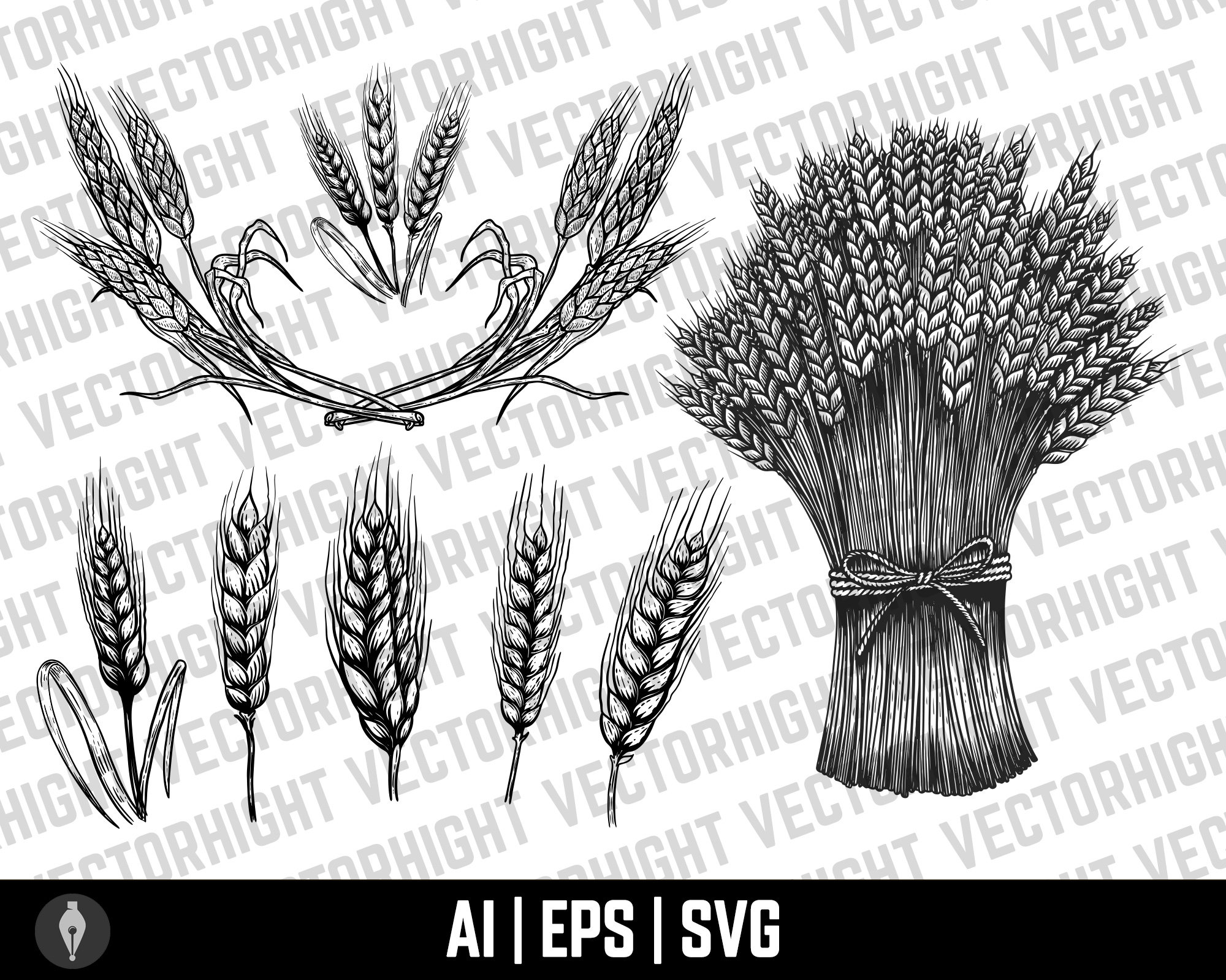 Sheaf of Wheat Vector Spikelet of Wheat EPS AI SVG Wheat | Etsy