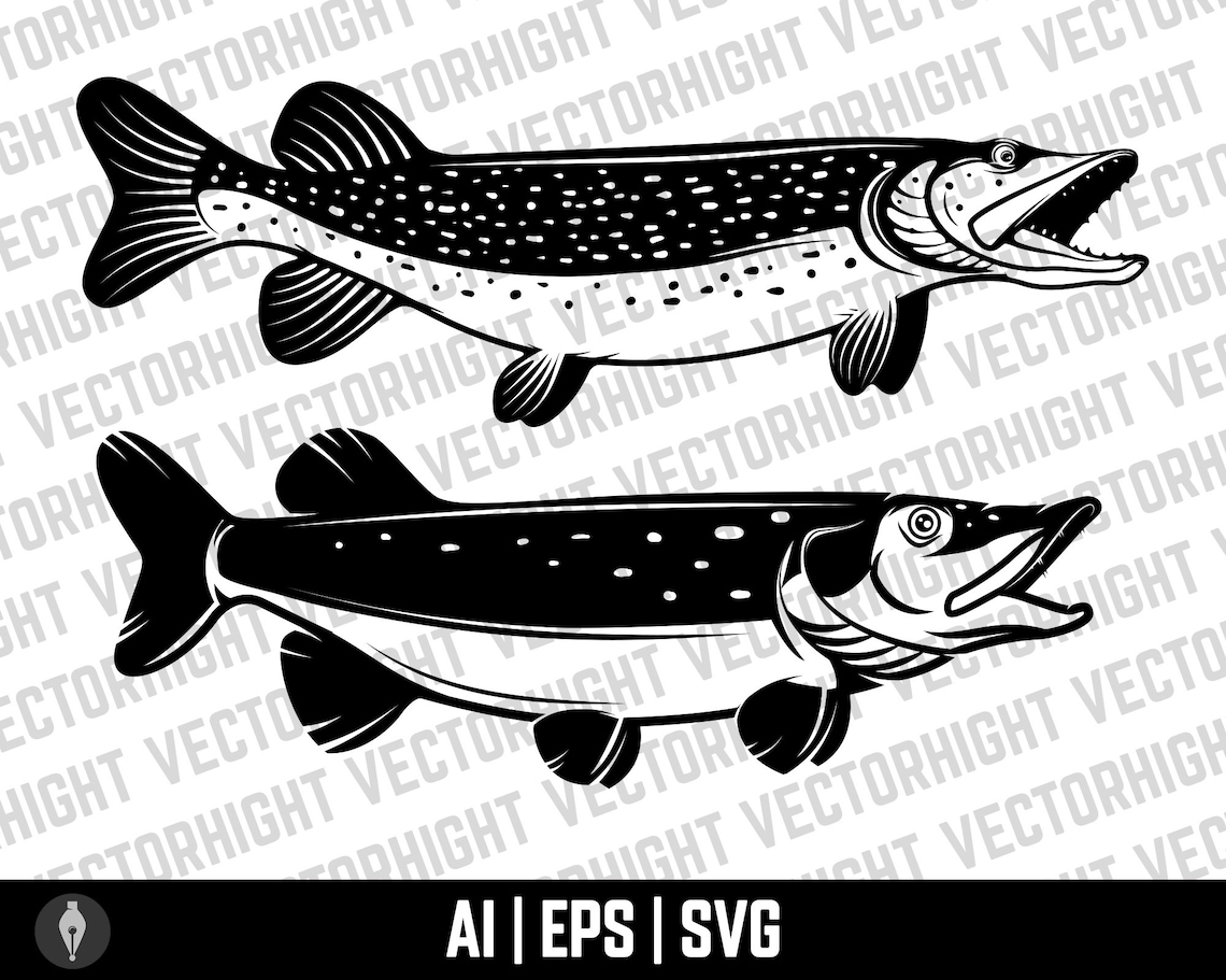 Set OF Pike Fish Illustrations Vector. Pike Fishing EPS Ai - Etsy