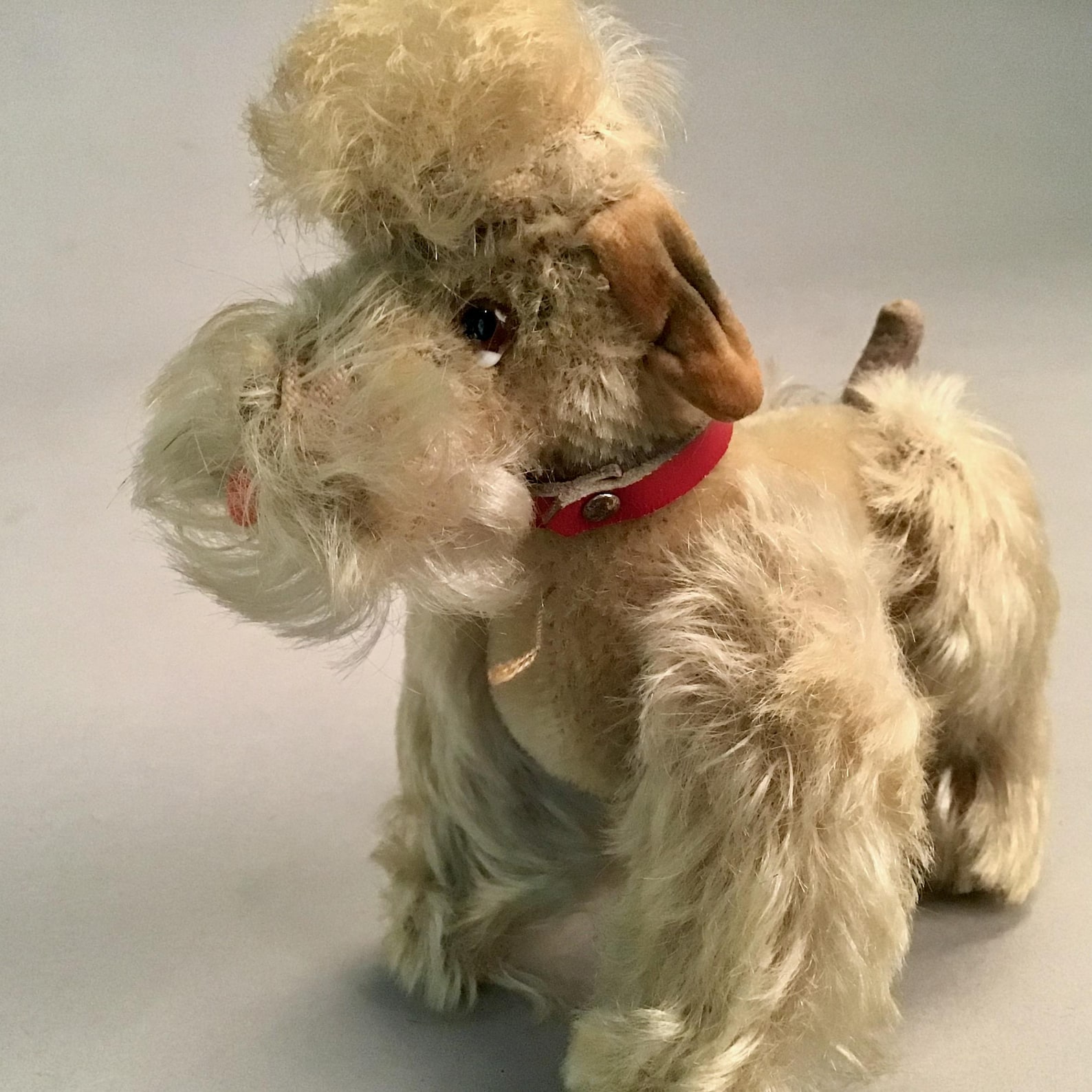Steiff Mohair Snobby Poodle Dog - Etsy