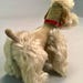 Steiff Mohair Snobby Poodle Dog - Etsy