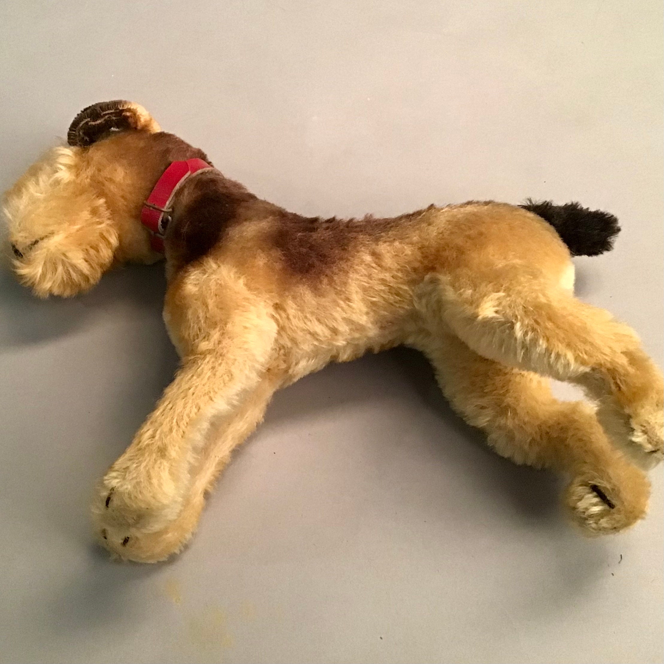 Steiff Airedale Terrier, 9 Inches in Height, Produced Approximately ...