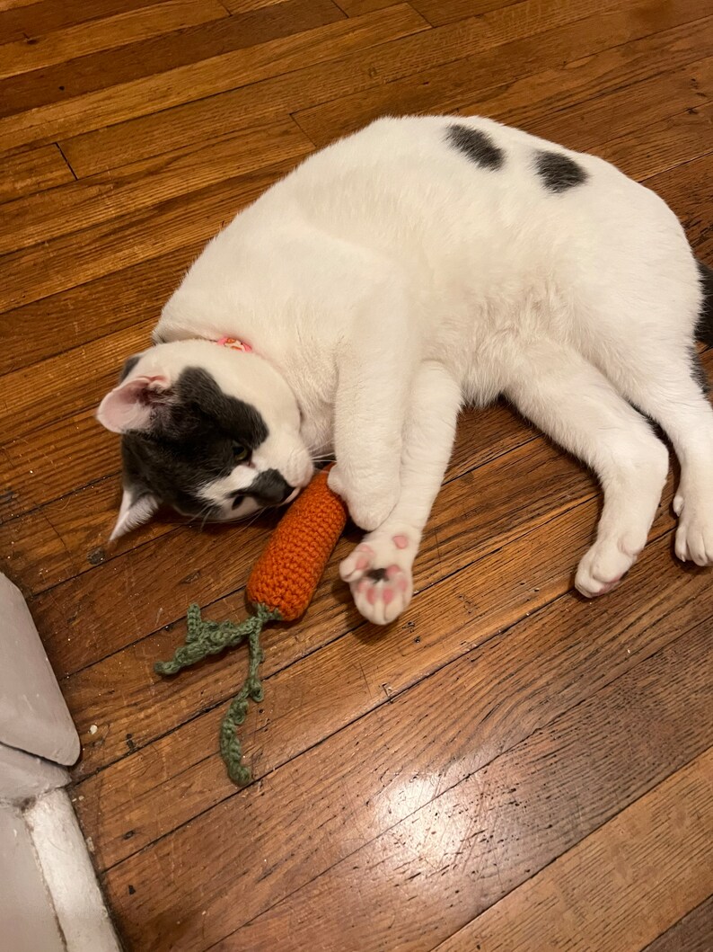 Handmade Carrot Cat Toy - Etsy
