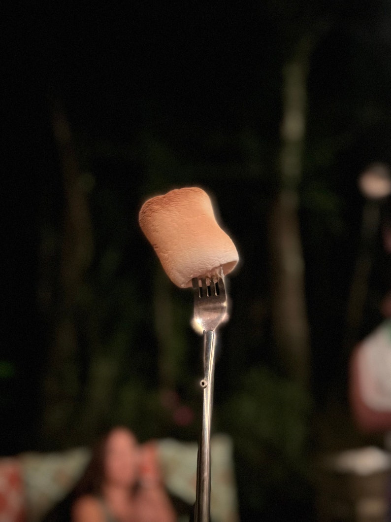 Repurposed Golf Club Smores Stick. Upcycled Golf Clubs Great - Etsy UK